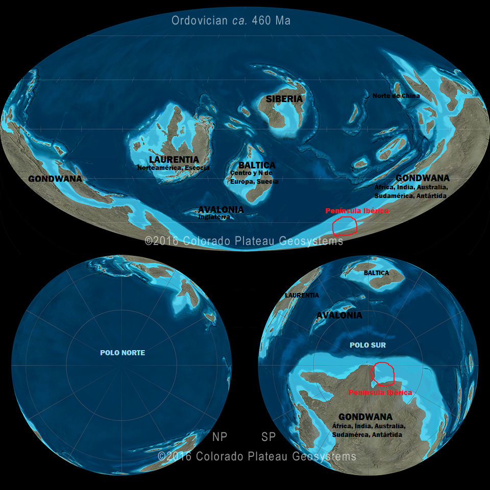 CABANEROCERAS AZNARI: nueva especie de CEFALÓPODO FÓSIL. El ORDOVÍCICO ...