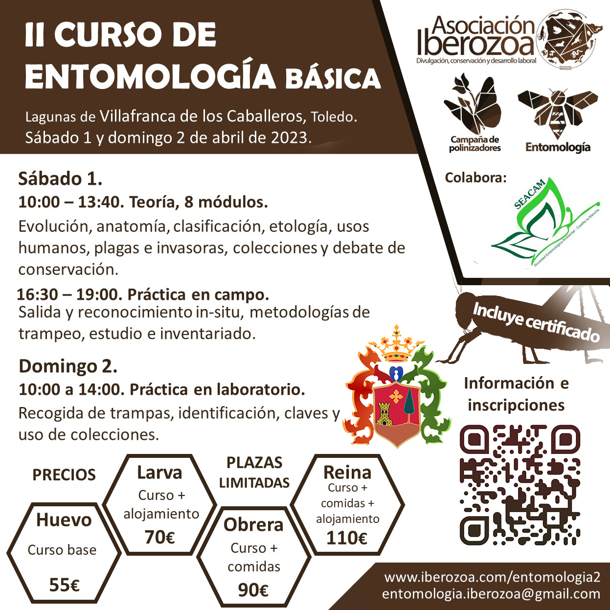 Certificado De Conocimiento Sobre Insectos La Vida Oculta Del Comején