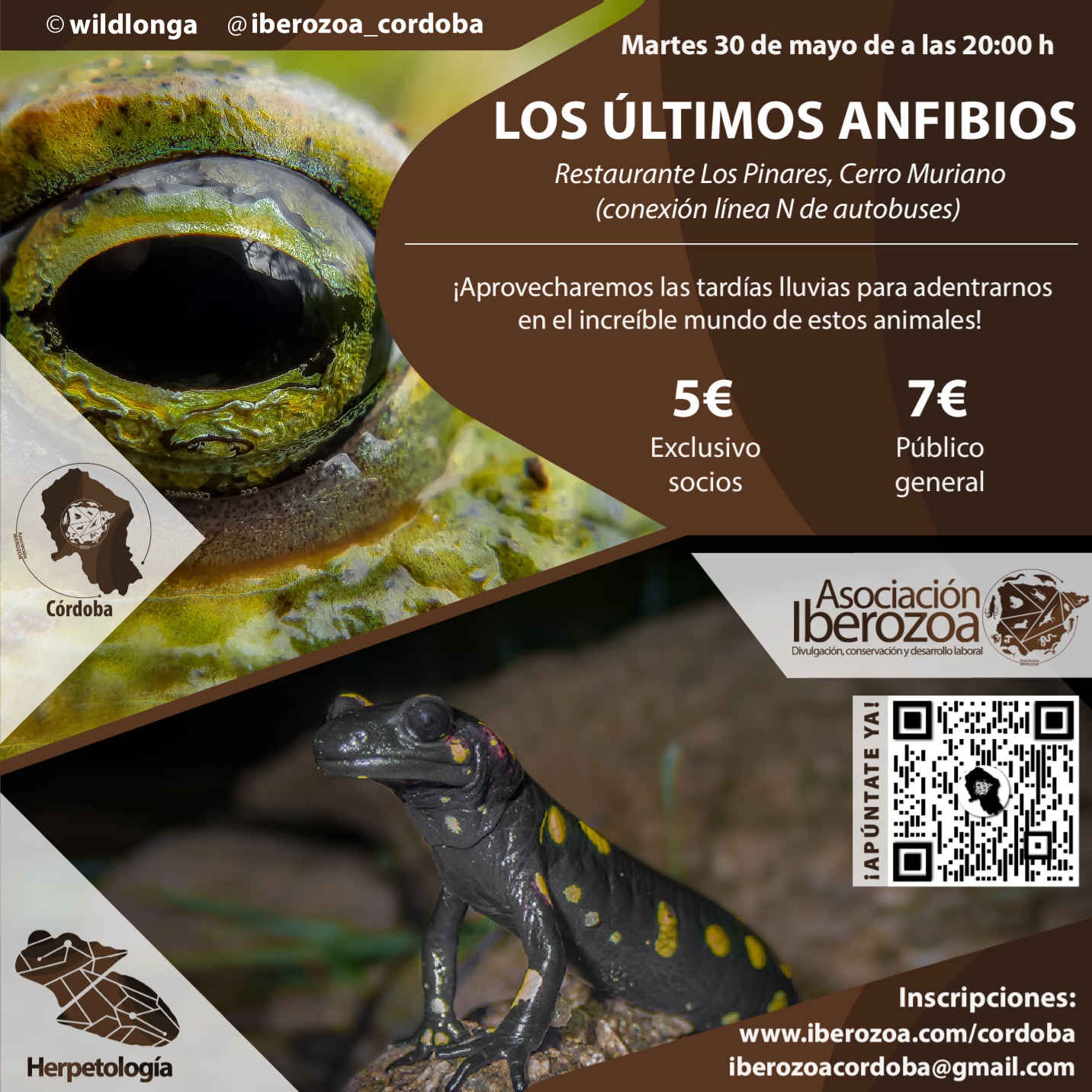CÓRDOBA – Iberozoa