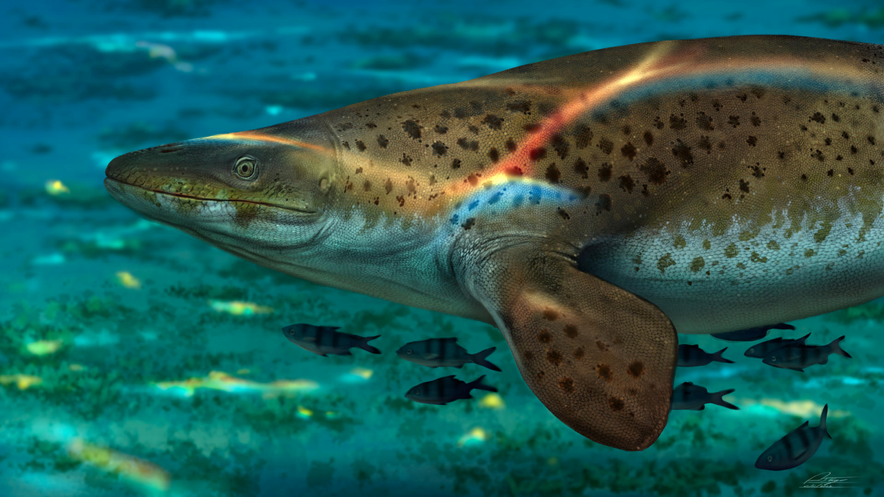 Origen evolutivo de las serpientes – Iberozoa