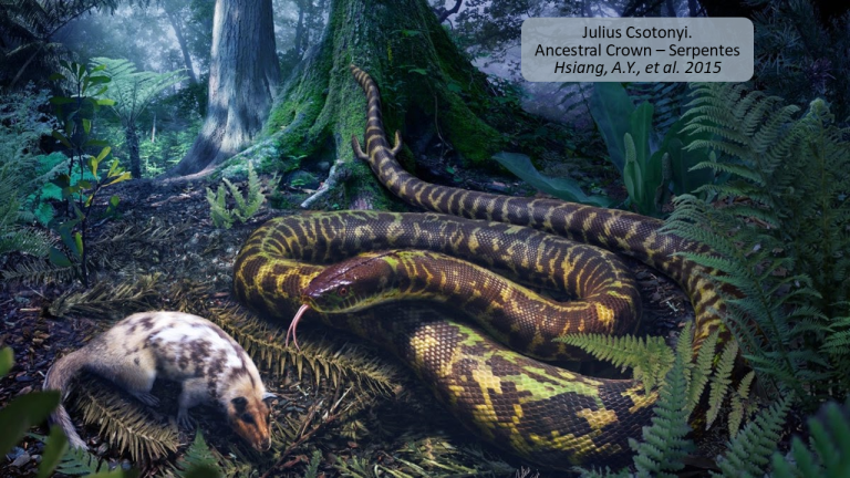 Origen evolutivo de las serpientes – Iberozoa