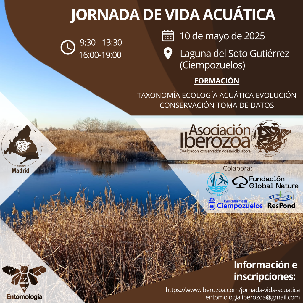 Jornada de vida acuática – Iberozoa